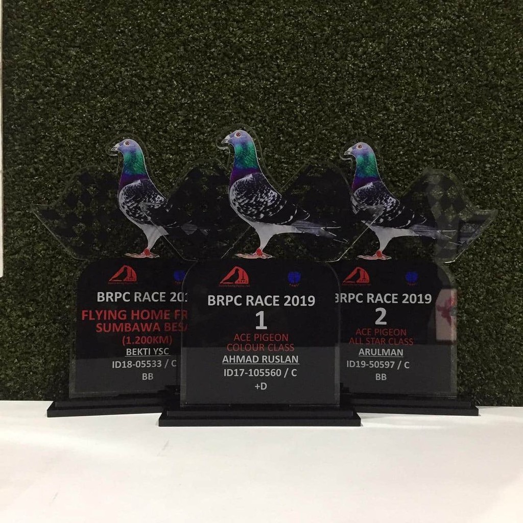 Jual TROPHY BURUNG PIALA LOMBA BURUNG MERPATI/PLAKAT KONTES BURUNG ...
