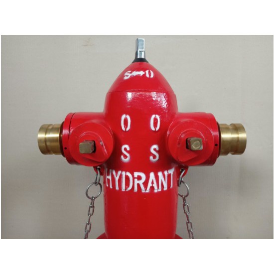 Cara Pemasangan Hydrant Pillar Yang Benar Sesuai Standar, 60% OFF