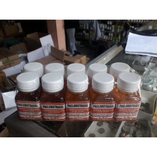 Jual ORIGINAL ASLI Paclobutrazol PAKLOBUTRAZOL MURNI Hormon Paclo Paklo ...