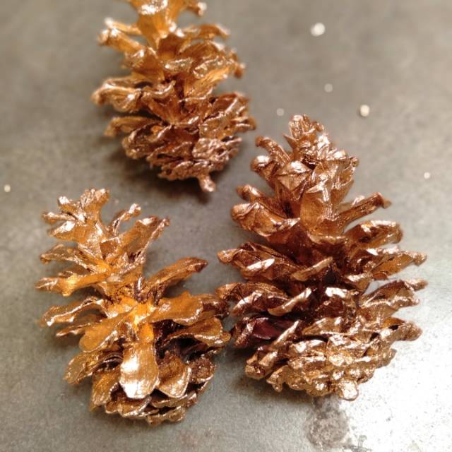 Jual 10pcs Pine Cone Gold Bunga Cemara Emas Buah Cemara Emas Bunga ...