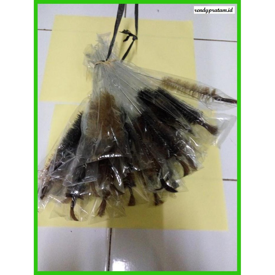 Jual Muirotarobal- Sikat Tabung / Sikat Pembersih Tabung Reaksi Gelas ...