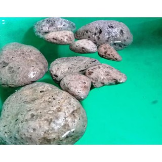 Jual EXCLUSIVE BATU APUNG / PUMICE STONE 1 KG - PUMICE NATURAL STONE ...