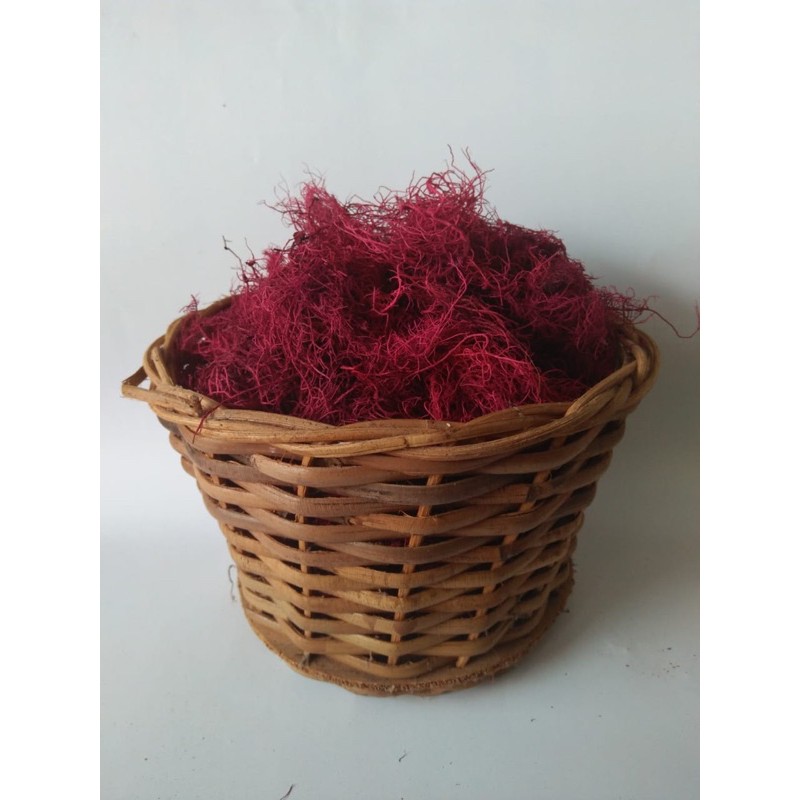 Jual Rumput Kayu Angin Pink 100gr | Shopee Indonesia