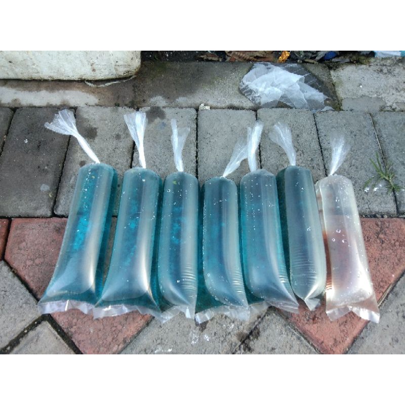 Jual encu/jentik nyamuk | Shopee Indonesia