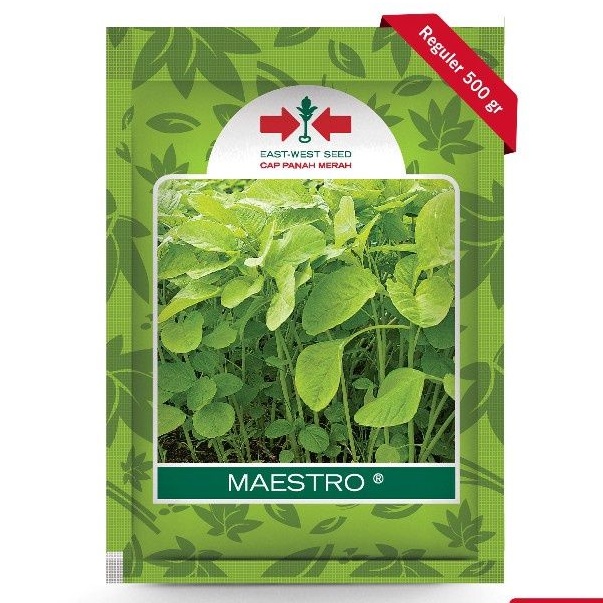 Jual ( 500 gram ) Benih bayam MAESTRO 500 gram bayam hijau maestro dari ...