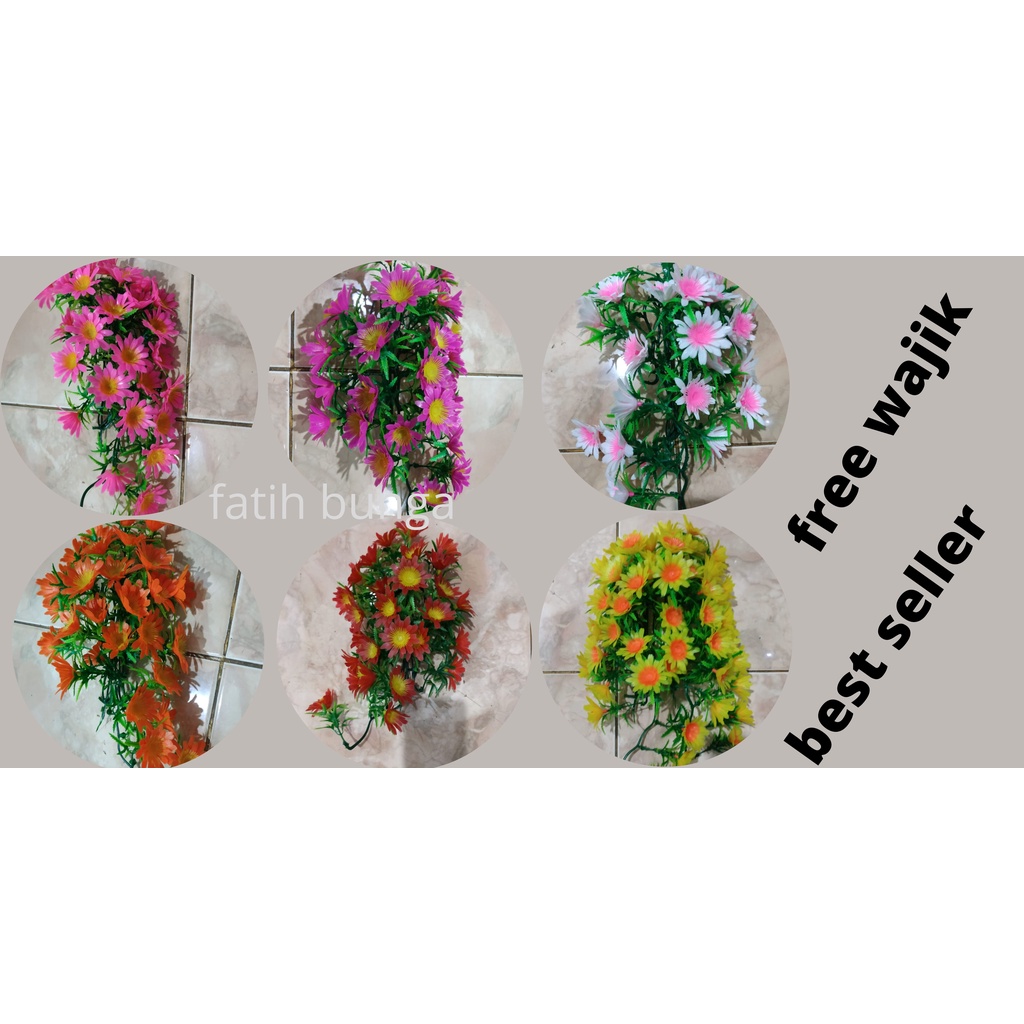 Jual Rambat Seruni/Bunga Rambat Dinding/Artificial/Cod | Shopee Indonesia