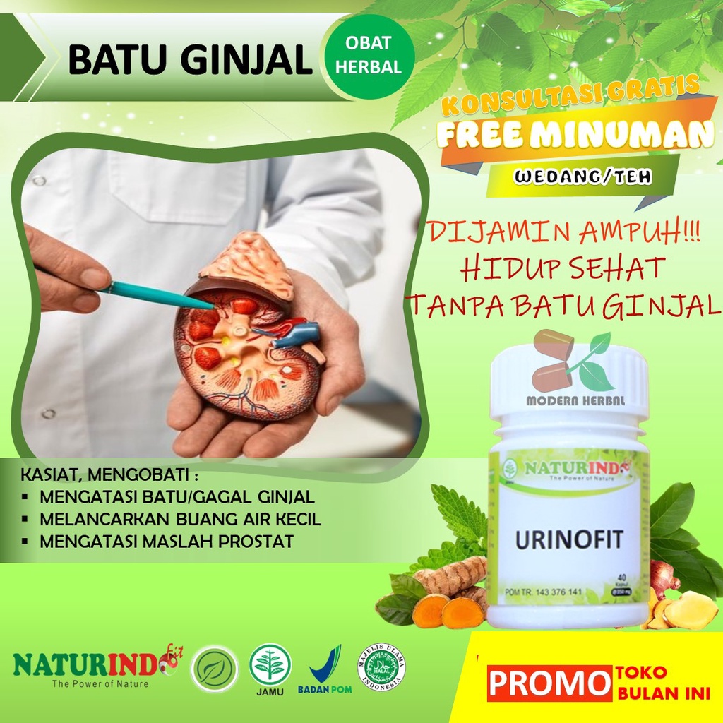Jual Obat Herbal Batu Ginjal Bengkak Sakit Pinggang Kronis Urinofit Herbal BPOM Naturindo ...