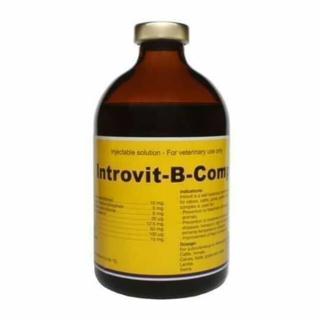 Harga Introvit-B-Complex Terbaru Jan 2026 | BigGo Indonesia