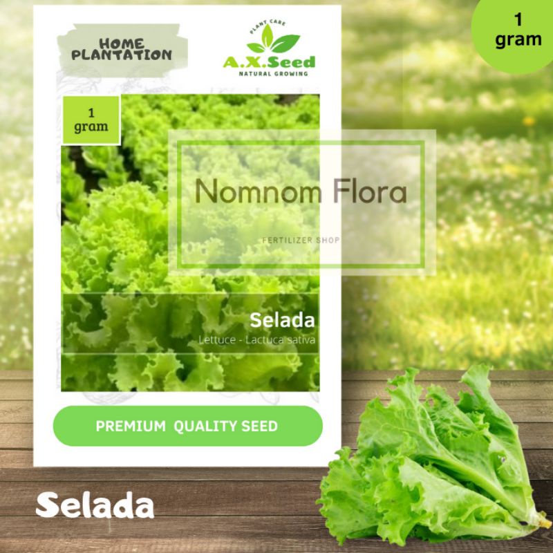 Jual Benih Bibi Selada (AX SEED) | Shopee Indonesia