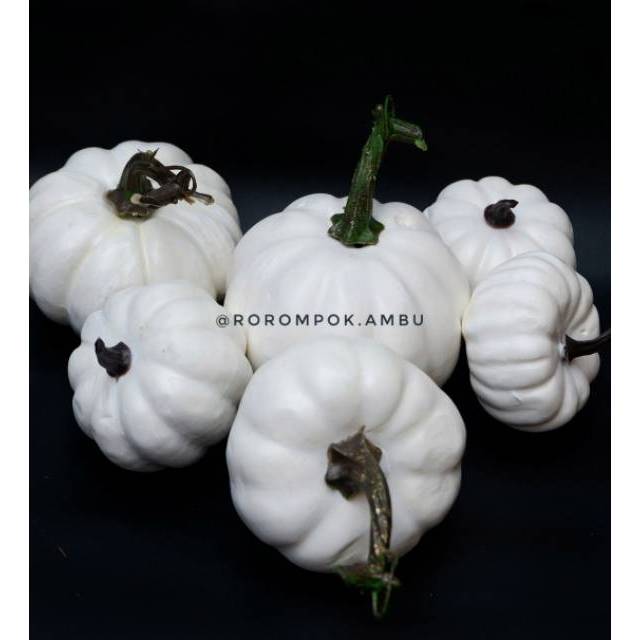 Labu putih/ 6 pcs labu putih farmhouse/ dekorasi farmhouse/ dekorasi ...