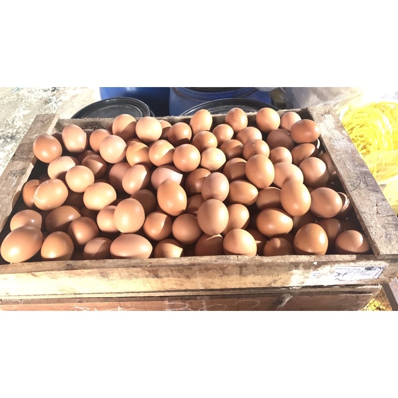 Jual Telur Ayam Negeri | Shopee Indonesia