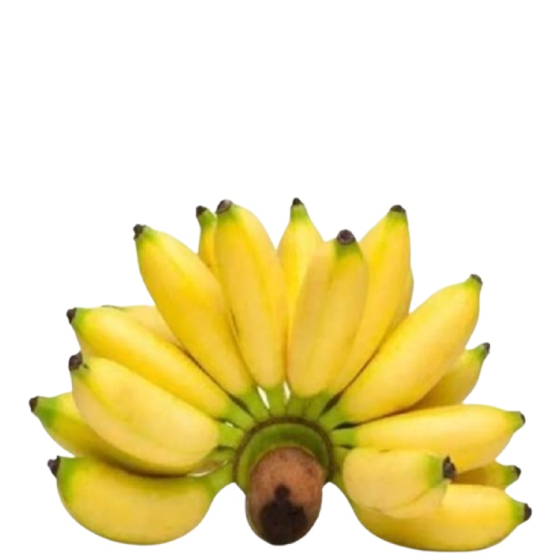 Jual Pisang Lampung 1 sisir 1.2 kg | Shopee Indonesia