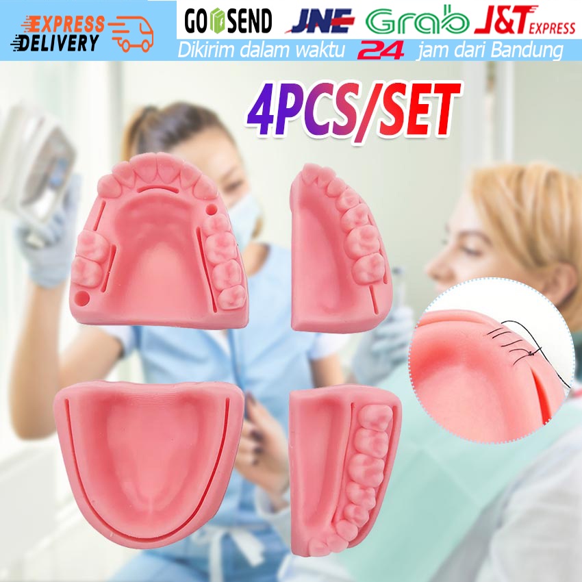 Jual 4PCS/Set Dental Model Suturing / Model Latihan Jahit Gigi / Suture ...