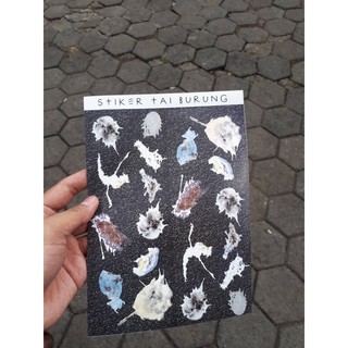 Jual stiker tai Harga Terbaik & Termurah Agustus 2022 | Shopee Indonesia