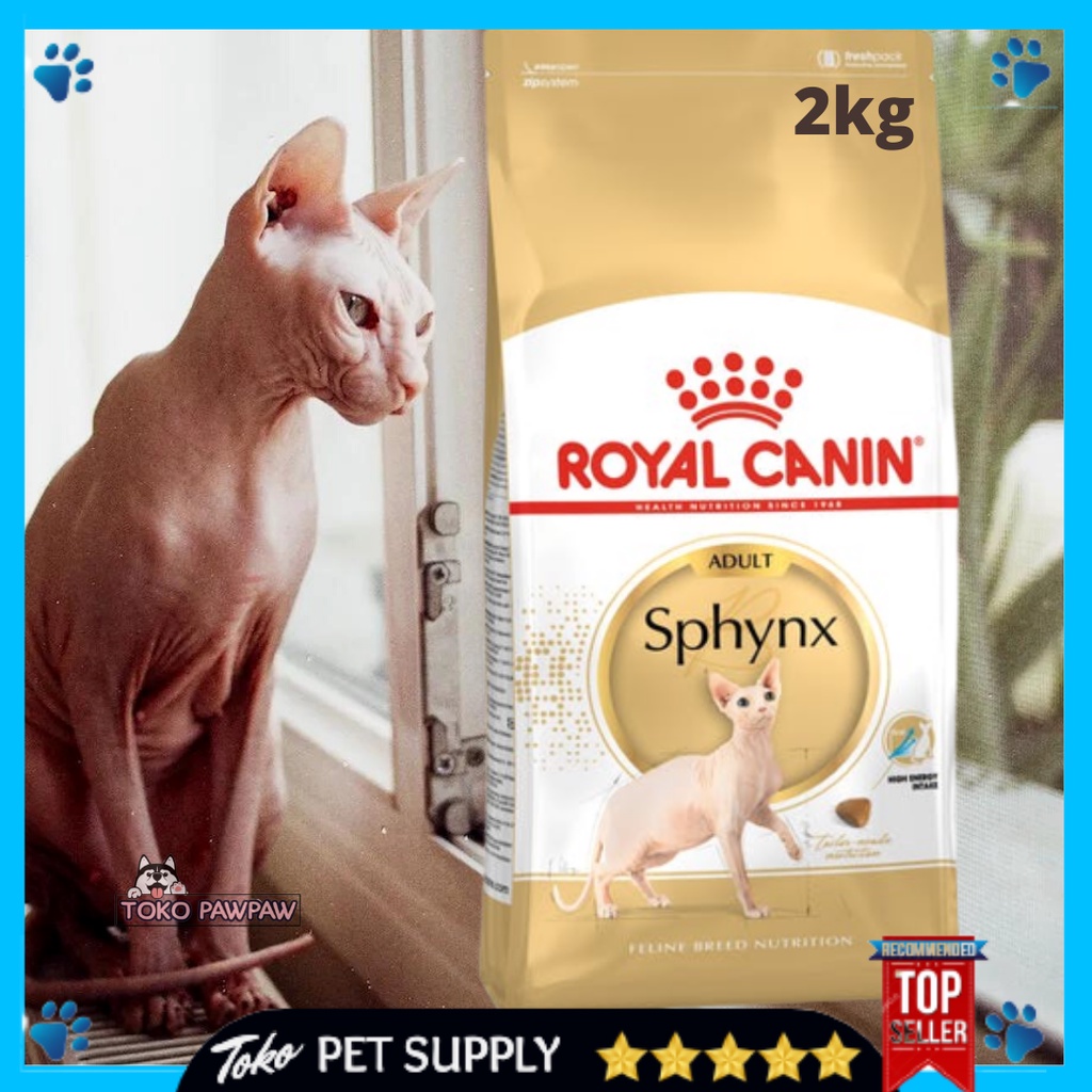 Jual ROYAL CANIN SPHYNX 2KG PAKAN KERING CAT FOOD DRY CATFOOD DRYFOOD ...