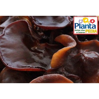 Jual JAMUR KUPING LEMBER SAYURAN SEGAR MAKANAN SEGAR MINUMAN DIET SEHAT ...