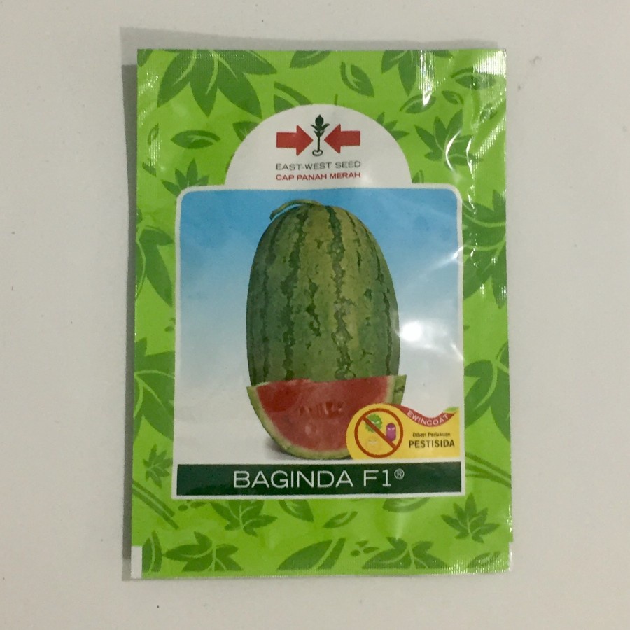 Jual Benih Bibit Semangka Inul Merah BAGINDA F1 REG 380 butir kemasan ...