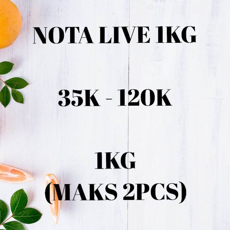 Jual NOTA LIVE 1KG | Shopee Indonesia