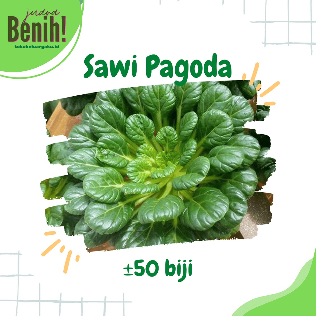 Jual Jual 50 Biji Benih Sawi Pagoda F1 Ta Ke Cai Known You Seed Sayuran ...