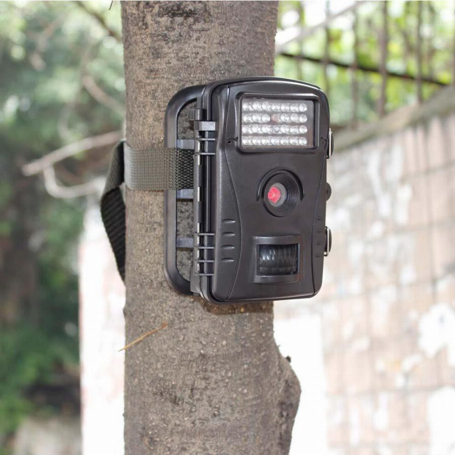Jual camera trap Harga Terbaik & Termurah Desember 2022 | Shopee Indonesia