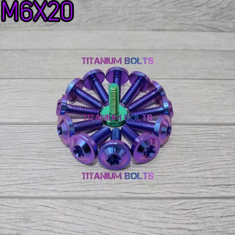 Jual Baut Titanium Bolts GR5 M6X20 Baut Titanium Payung Original | Shopee Indonesia