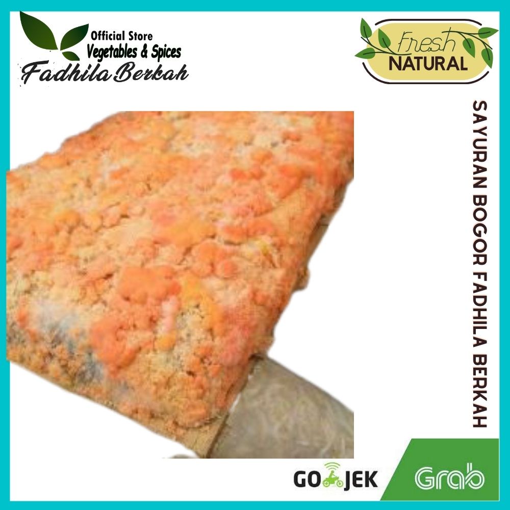 Jual Oncom Merah segar satu potong 250 Gram| fresh Sayuran segar bogor ...