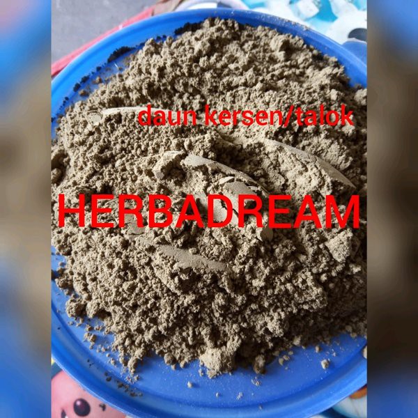 Jual 1 KG BUBUK DAUN TALOK MUNTINGIA CALABURA KERSEN SERI CERI ...