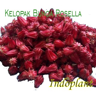 Jual Simplisia Kering Rosella 250 g Kelopak Bunga Rosela Teh Herbal ...