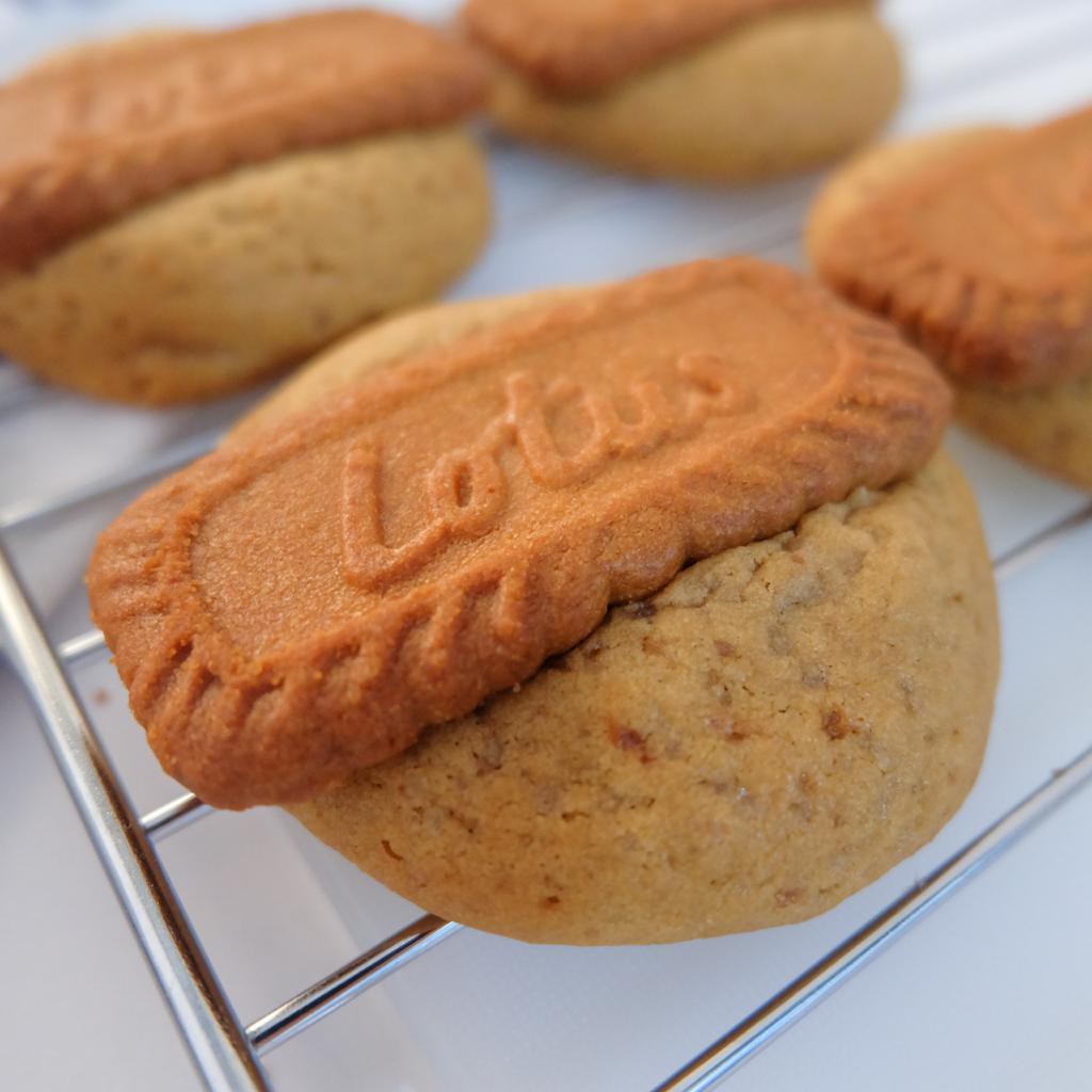 Jual Soft Cookies - Lotus Biscoff Caramel | Shopee Indonesia