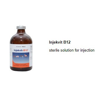 Jual INJEKSI VITAMIN B12/INJEKVIT B12 MEDION 100ML Indonesia|Shopee ...