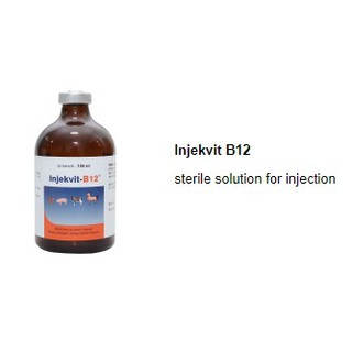 Jual INJEKSI VITAMIN B12/INJEKVIT B12 MEDION 100ML Indonesia|Shopee ...