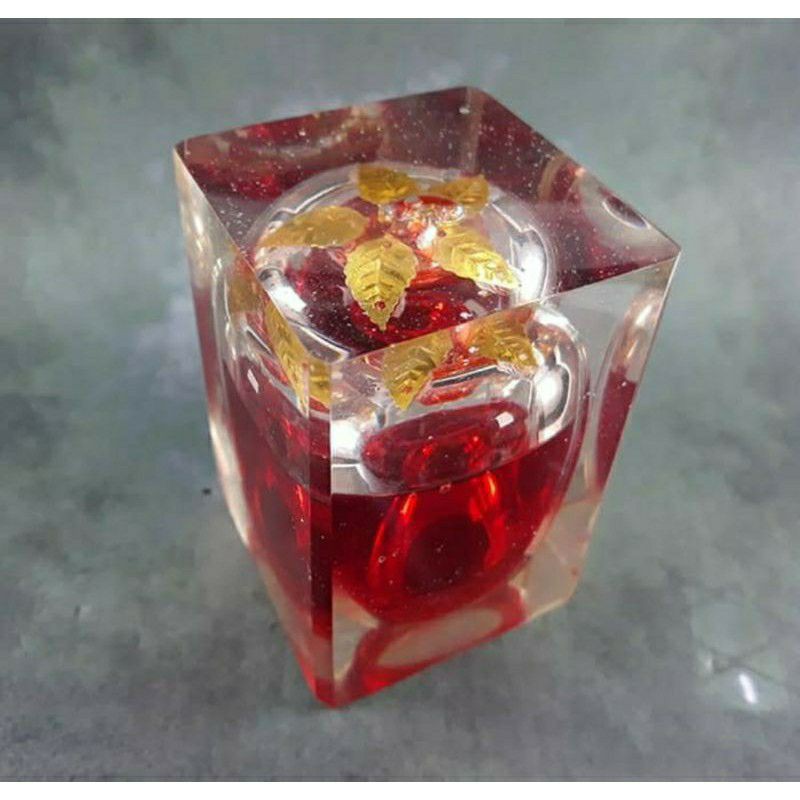 Harga Apel Jin Asli Terbaru Oktober 2022 |BigGo Indonesia