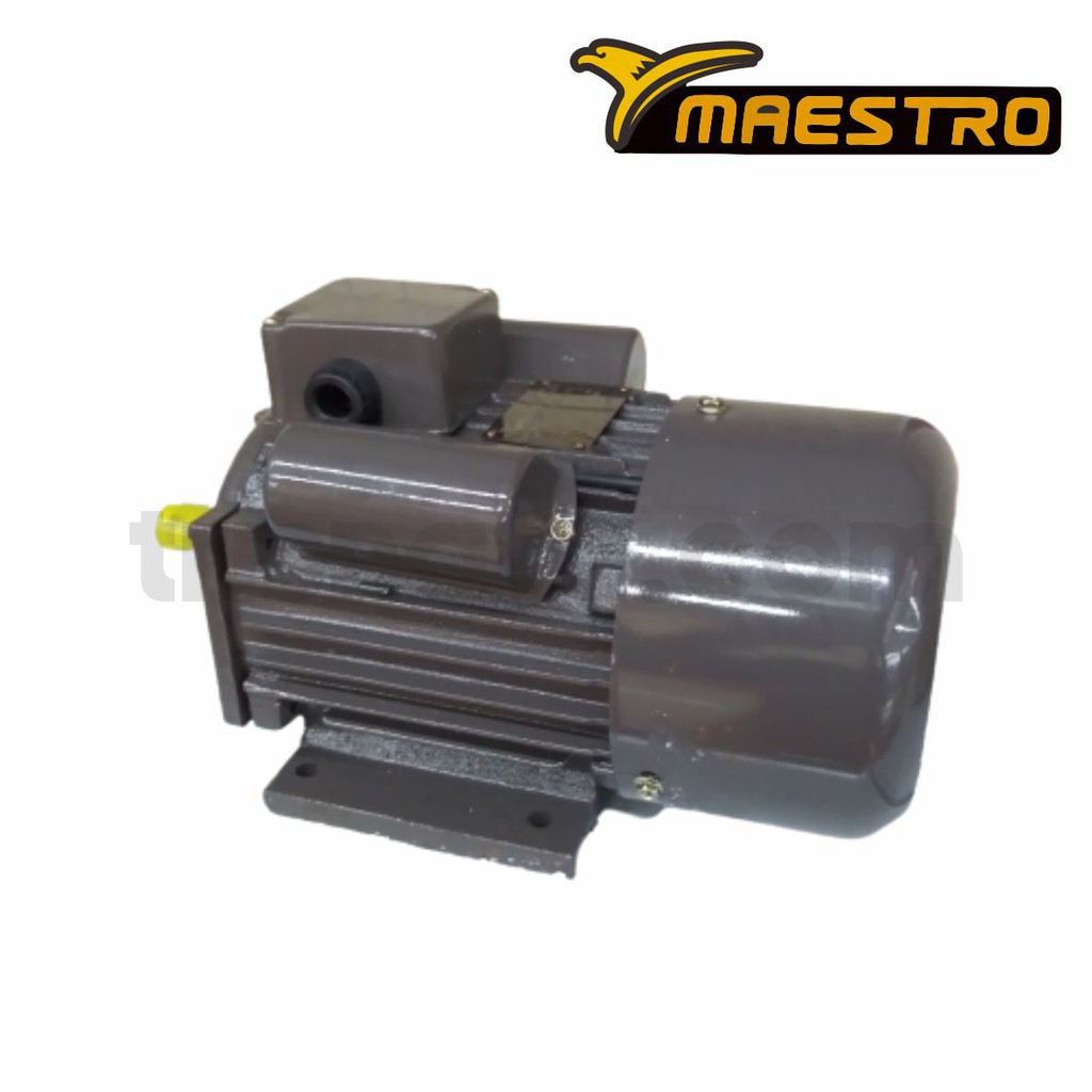 Jual DINAMO MAESTRO 1/2 HP 2PW & 4 PW SINGLE PHASE | Shopee Indonesia