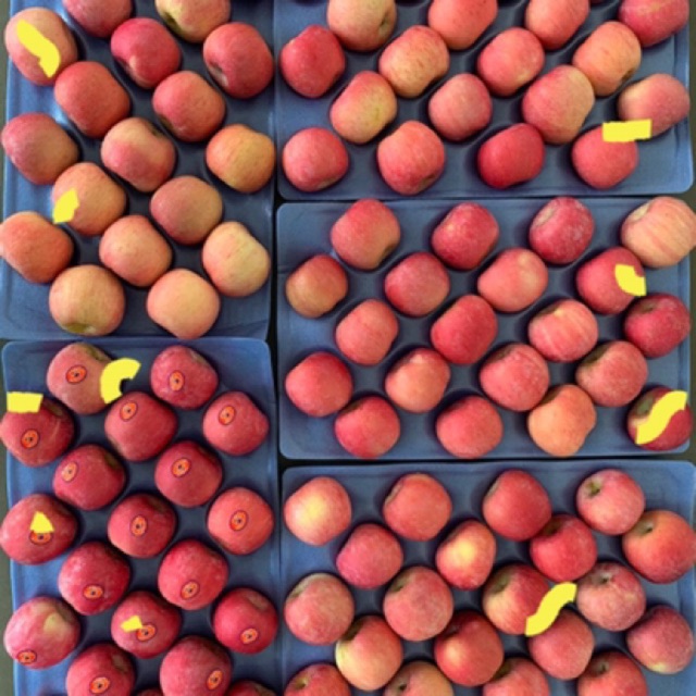 Jual SUPPLIER BUAH IMPORT | Apel Fuji China isi 100 pcs/box | Shopee ...