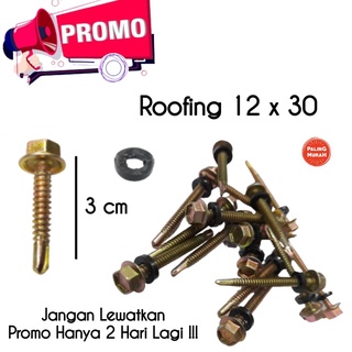 Jual Skrup Sekrup Baut Baja Ringan Atap Plafon Roofing Ruving 12x30 3cm ...
