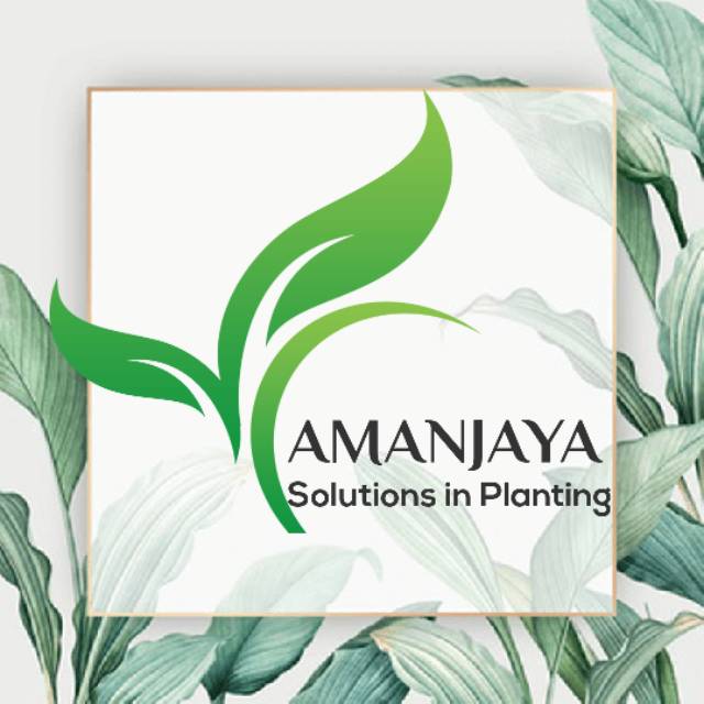 Produk Amanjaya Storee | Shopee Indonesia