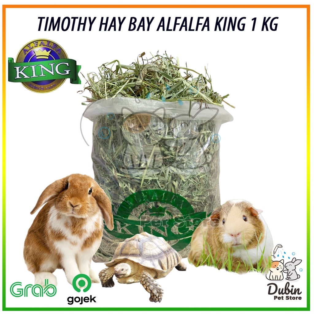 Jual Timothy Hay 1 kg Alfalfa King AFK - Rumput Makanan Kelinci Timothy ...