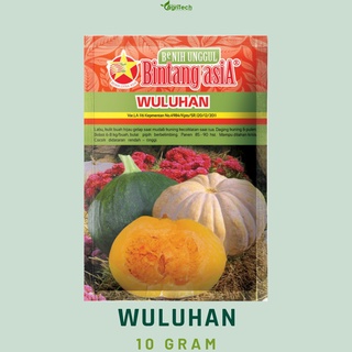 Jual BENIH BIBIT LABU KUNING WULUHAN ISI 10 GRAM LABU PERINGGI CAP ...