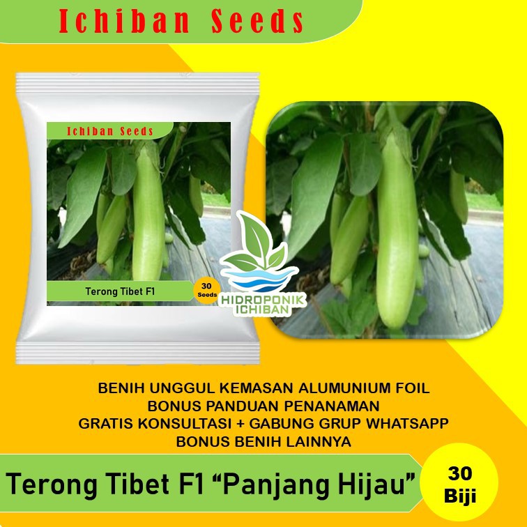 Benih Bibit Biji TERONG TIBET HIJAU PANJANG Kemasan Alumunium Foil ...