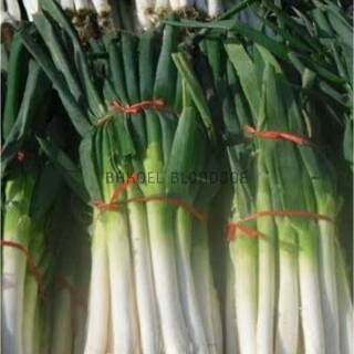 Jual DAUN BAWANG PRE /IKAT / GODONG PREI / LEEK / FRESH VEGETABLES ...