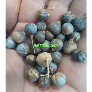 Jual BUAH HANJELI 50 BIJI | BIBIT BIJI HANJELI MATANG | BUAH JALI JALI ...