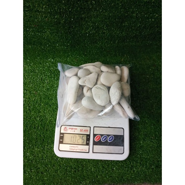 Jual Batu coral putih pipih, batu pipih 25-30 batu taman pipih batu 1kg ...
