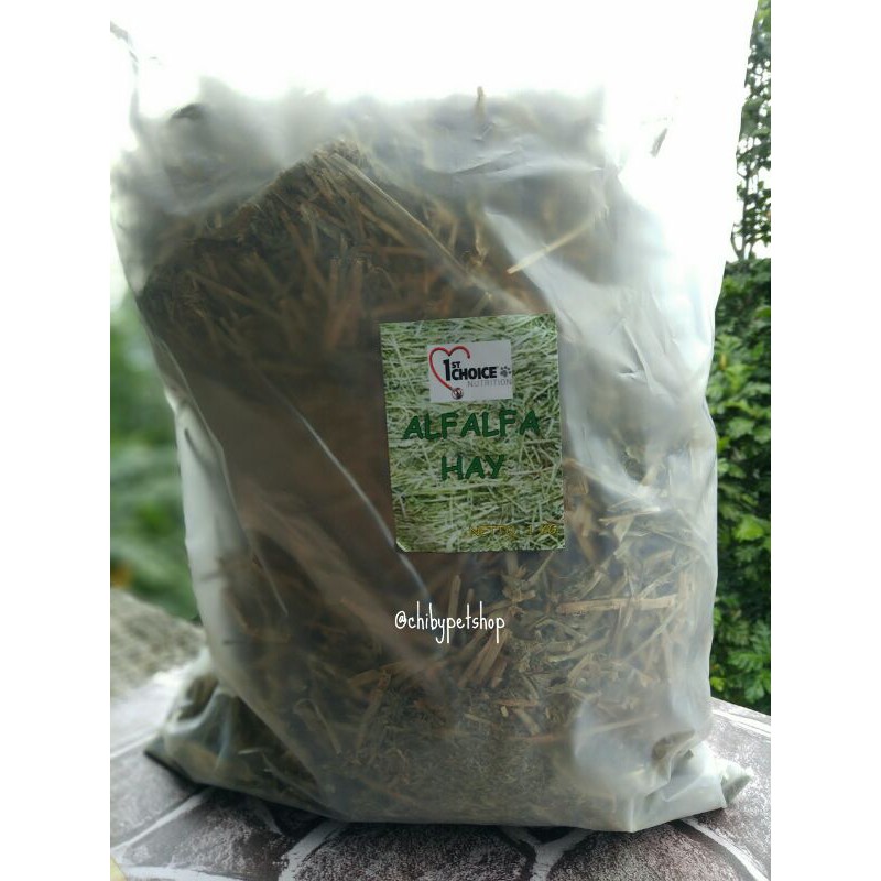 Jual Rumput Alfalfa Hay Repack 1kg / Rumput Kelinci | Shopee Indonesia