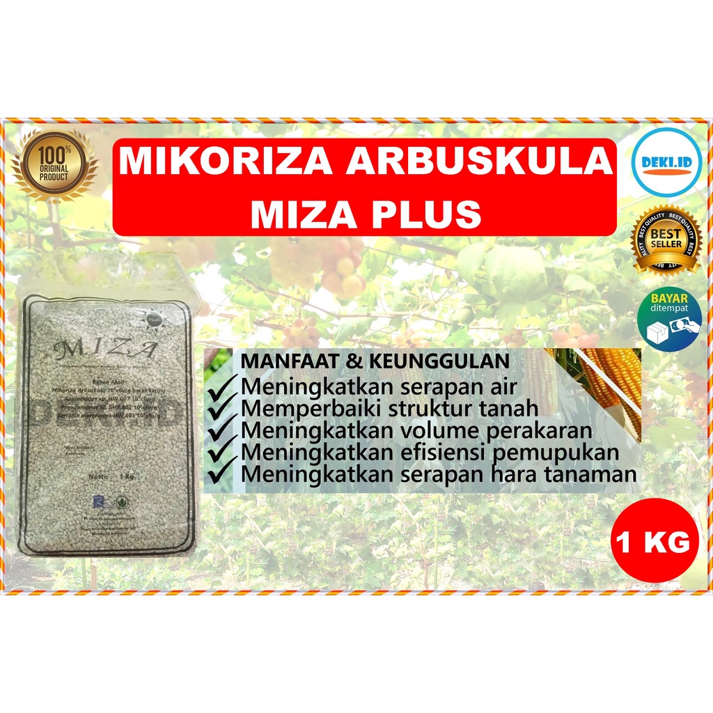 Jual Mikoriza Arbuskula Miza Plus 1 kg Pupuk Hayati Fungisida Organik ...