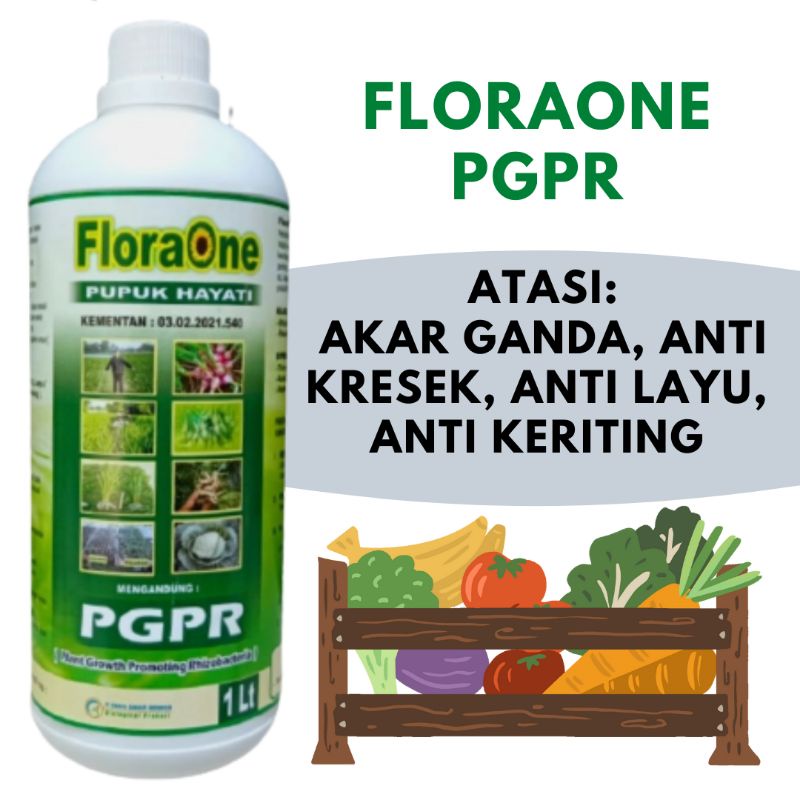 Jual Pupuk PGPR Rhizobium Sp, Pupuk Organik Hayati Trichoderma Obat ...