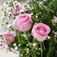 Produk toko_windyan | Shopee Indonesia