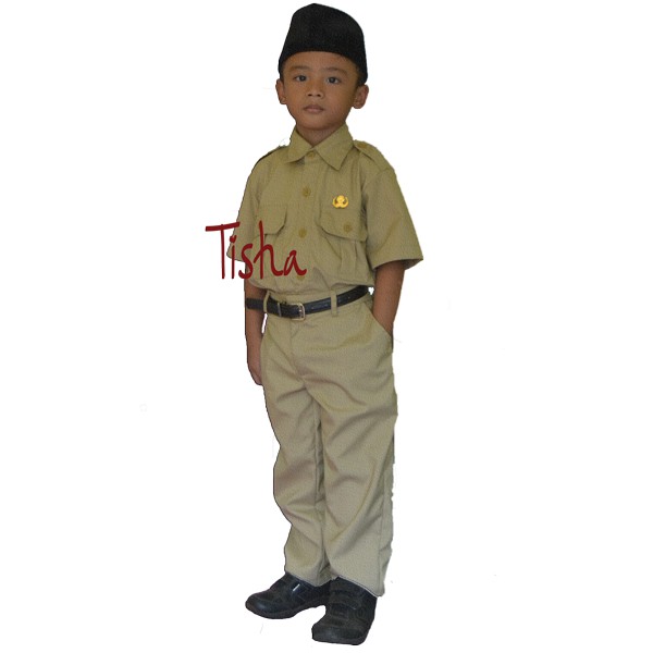 Jual Kostum Guru laki-laki uk 4 (4-5 tahun) baju Guru / PNS murah ...