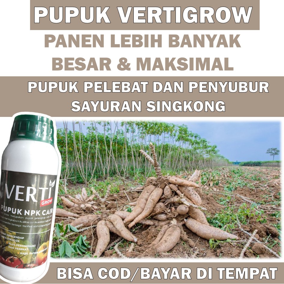 Jual VERTI-GROW PUPUK NPK TERBAIK MELEBATKAN SINGKONG Buah Singkong Menjadi Besar dan Sehat ...
