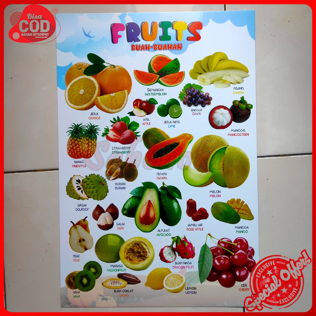Jual Poster Buah / Poster Edukasi Untuk Anak | Shopee Indonesia