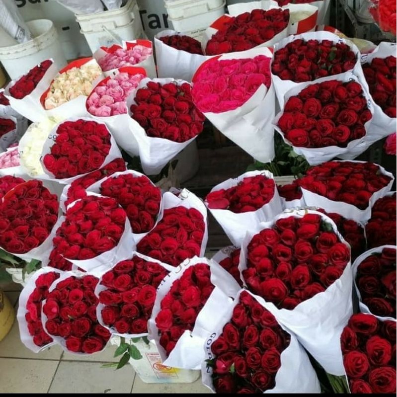 Jual BEINS-FLORIST/BUNGA MAWAR SEGAR/FRESH PER IKET 20 TANGKAI- MAWAR ...
